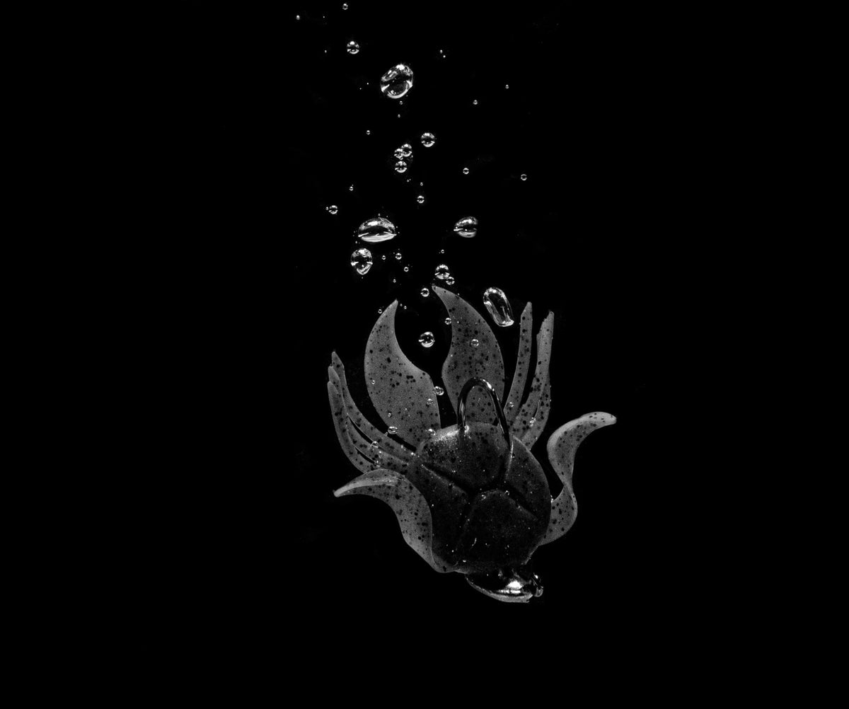 SWIMCRAB – Holt Productions