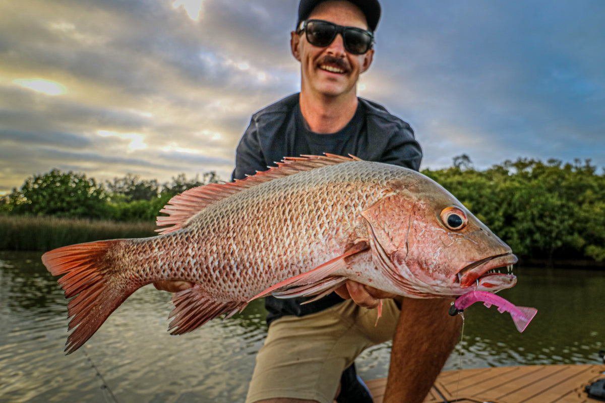 4” SWIMPRAWN VIOLET PRAWN (6PK) – Holt Productions