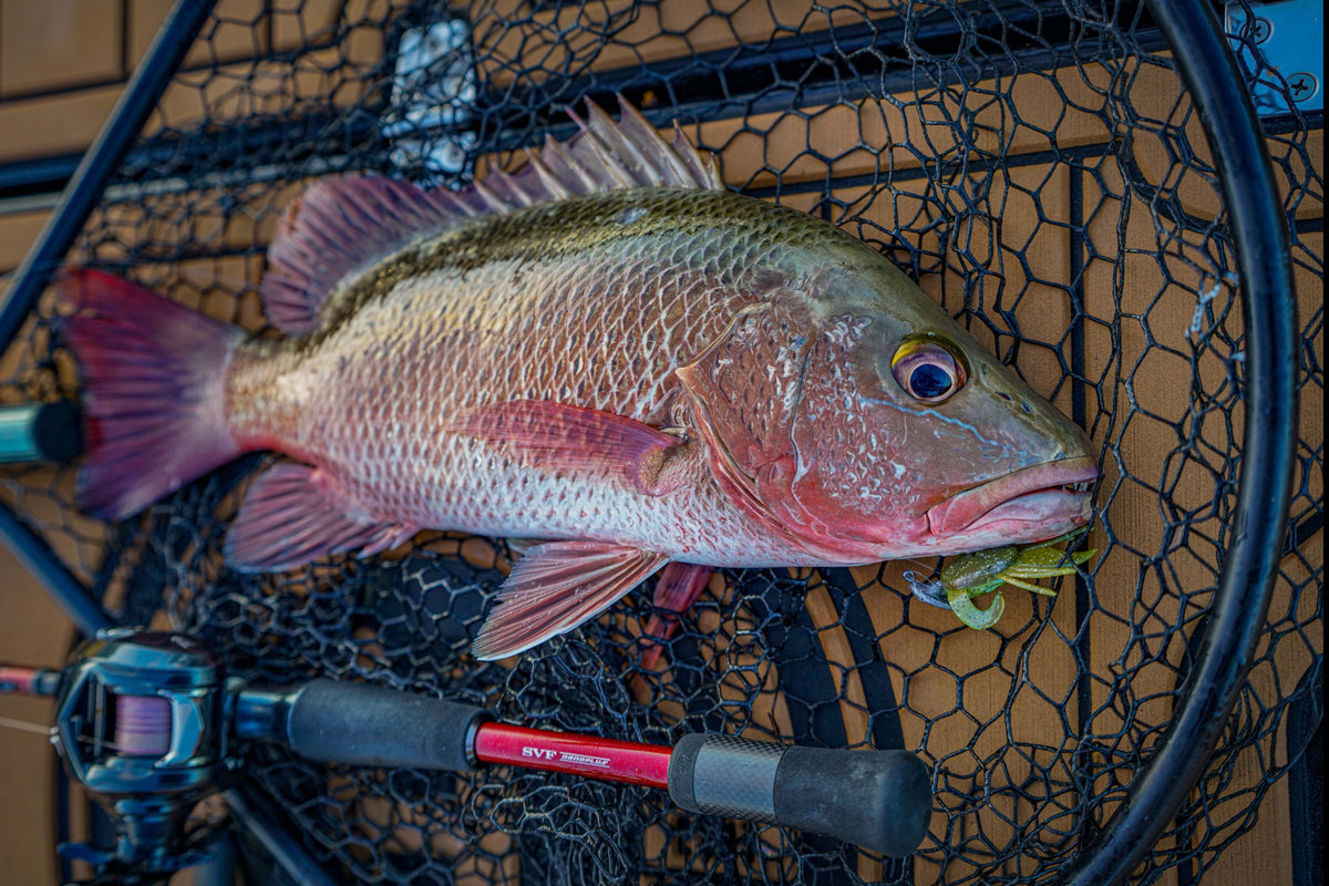 2” SWIMCRAB SHORE CRAB (6PK) – Holt Productions