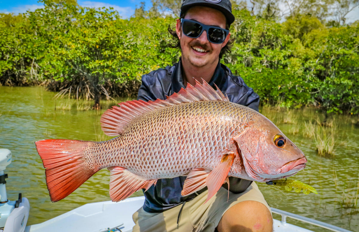 3” SWIMPRAWN WHITE SPOT PRAWN #1 BEST SELLER (6PK) – Holt Productions